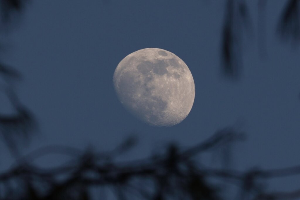 Lua hoje: veja qual é a fase lunar desta segunda-feira, 10 de novembro ...