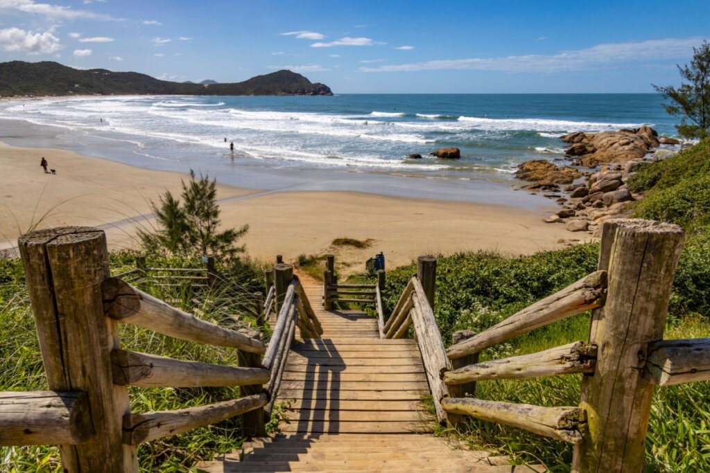 Roteiro 3 dias: o que fazer na Praia do Rosa no verão - O Diário de Mogi